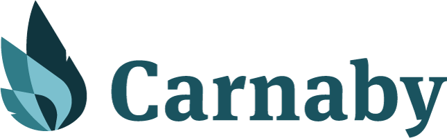 Carnaby Resources Limited - A Leading Australian Exploration Company